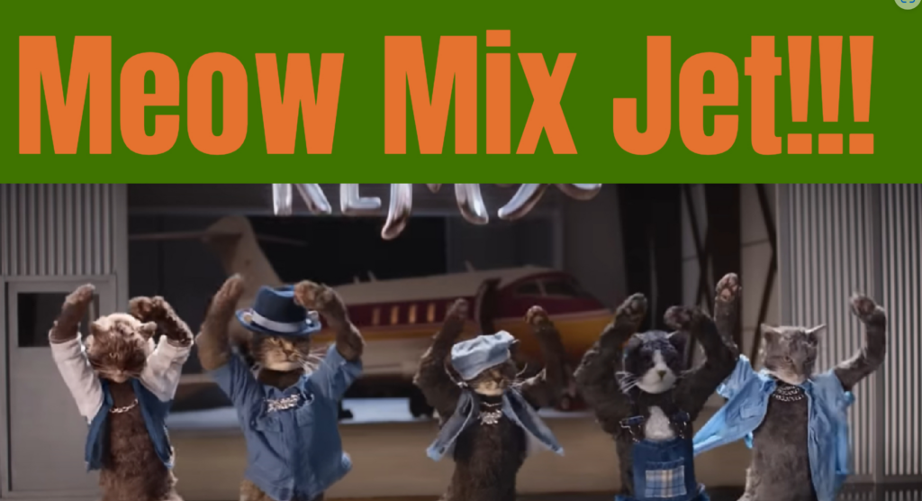 Flying High: Meow Mix and Ozamptics Soar with Private Jets in ...
